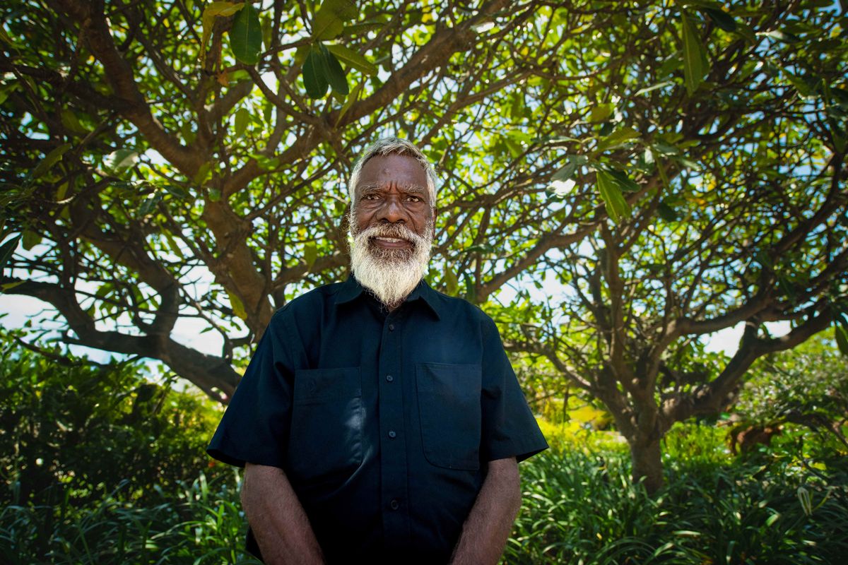 Explainer: What is cultural burning? | National Indigenous Times