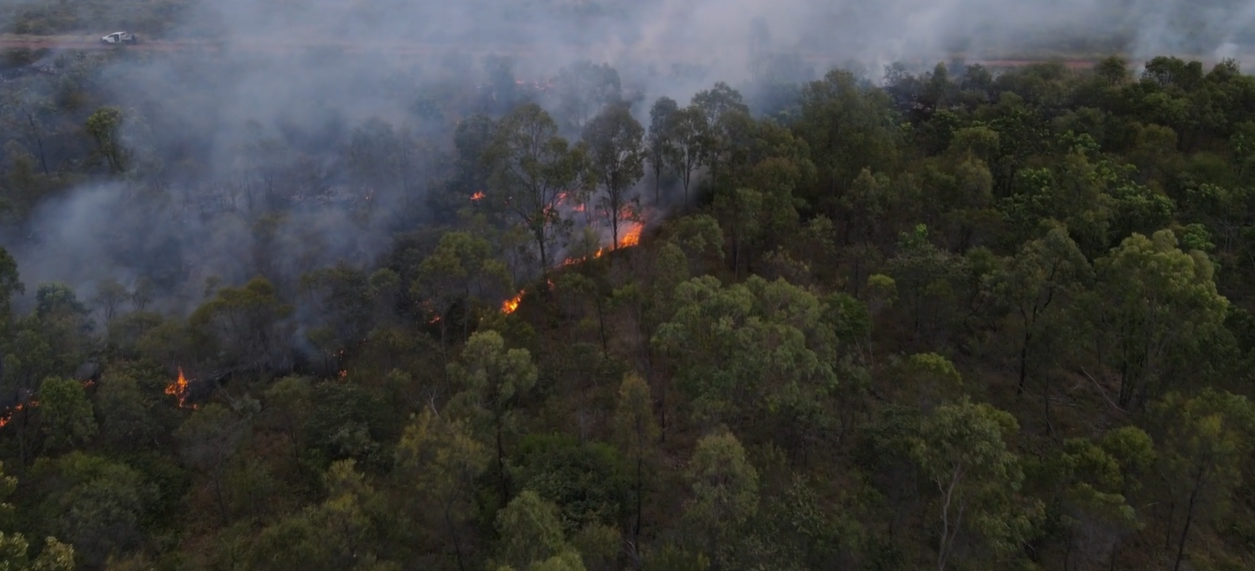 Traditional Owners, graziers partner in cultural bu... | National ...