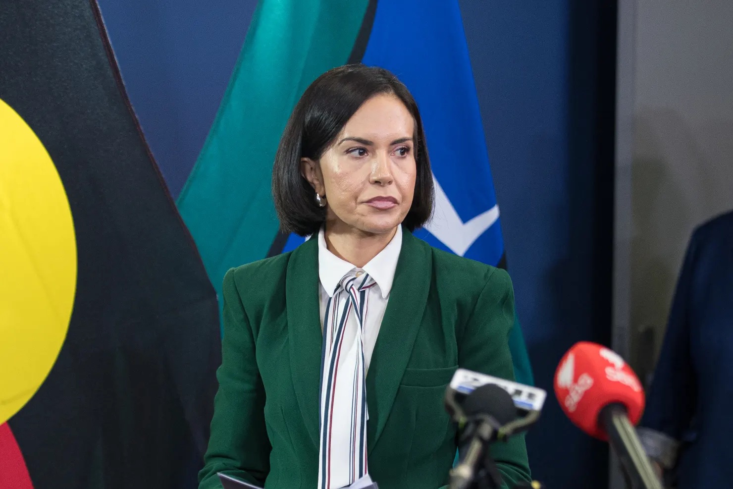 Song about Captain Cook's expedition around K'gari ... | National ...