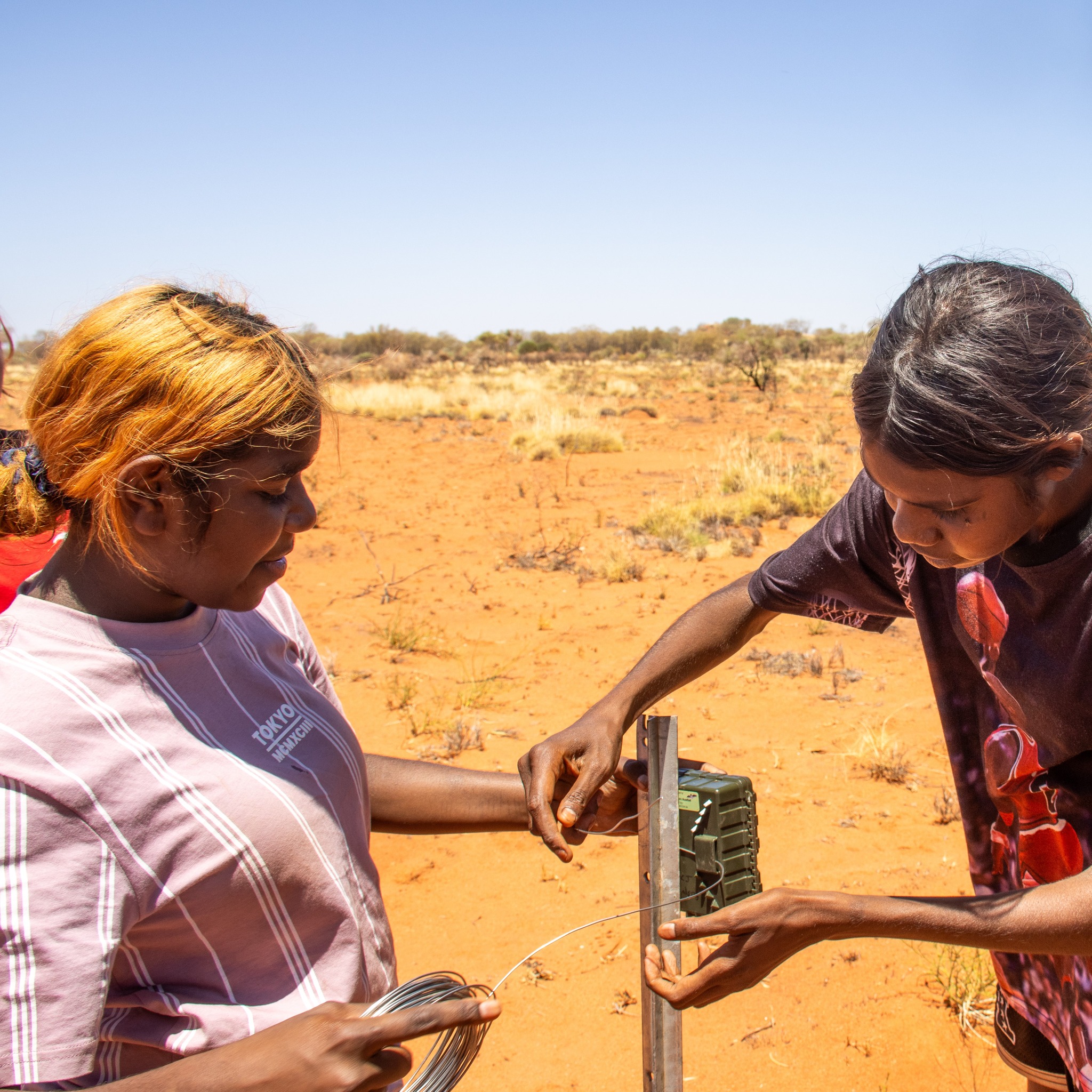 Young Martu rangers help protect vulnerable desert ... | National ...