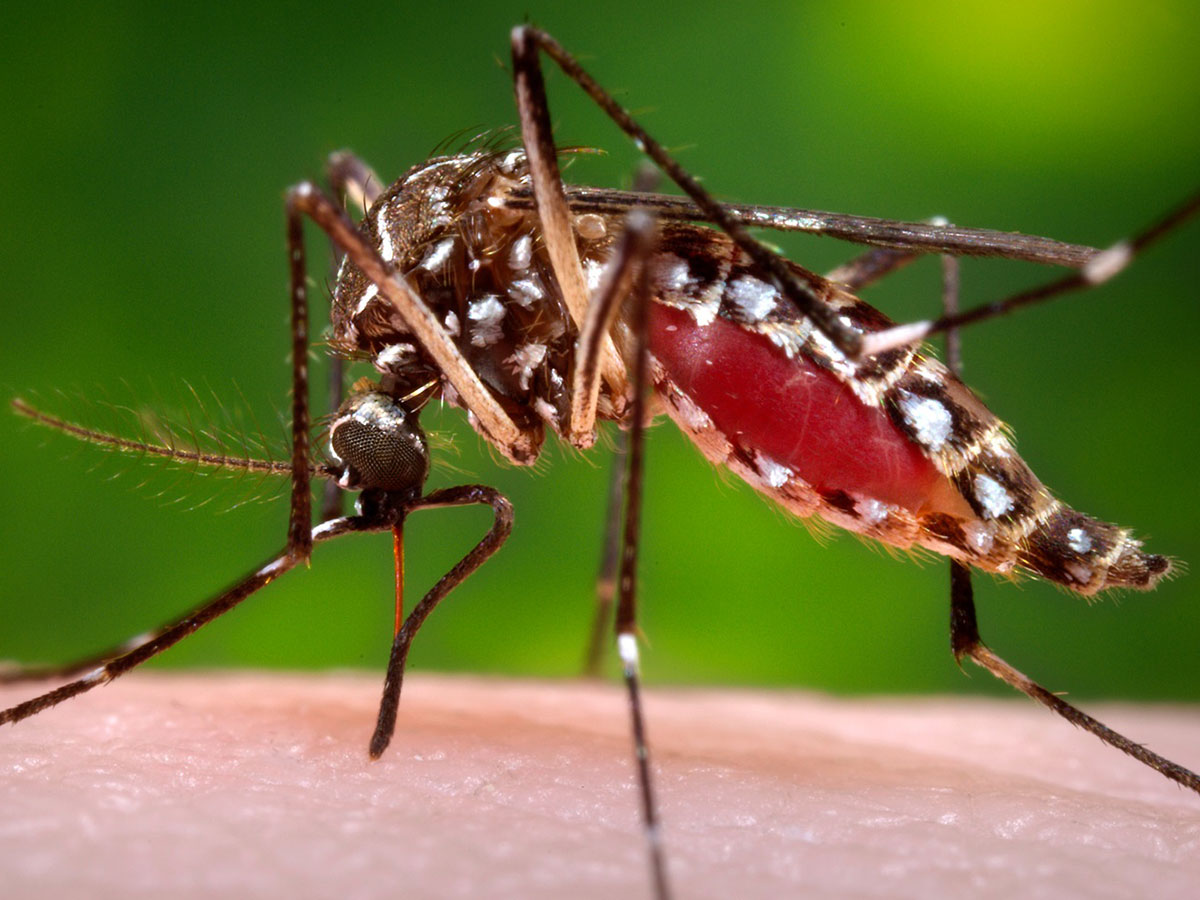Queenslanders urged to take precautions as rising m... | National ...