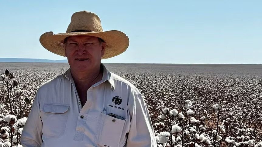 Albanese rules out blocking NT administrator appoin... | National Indigenous Times