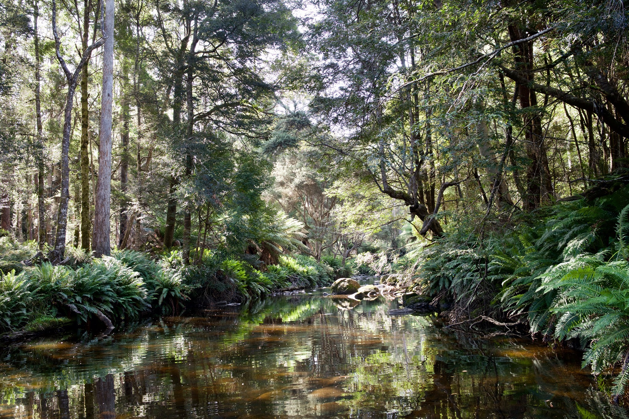 Donation sees land returned to Aboriginal ownership... | National ...