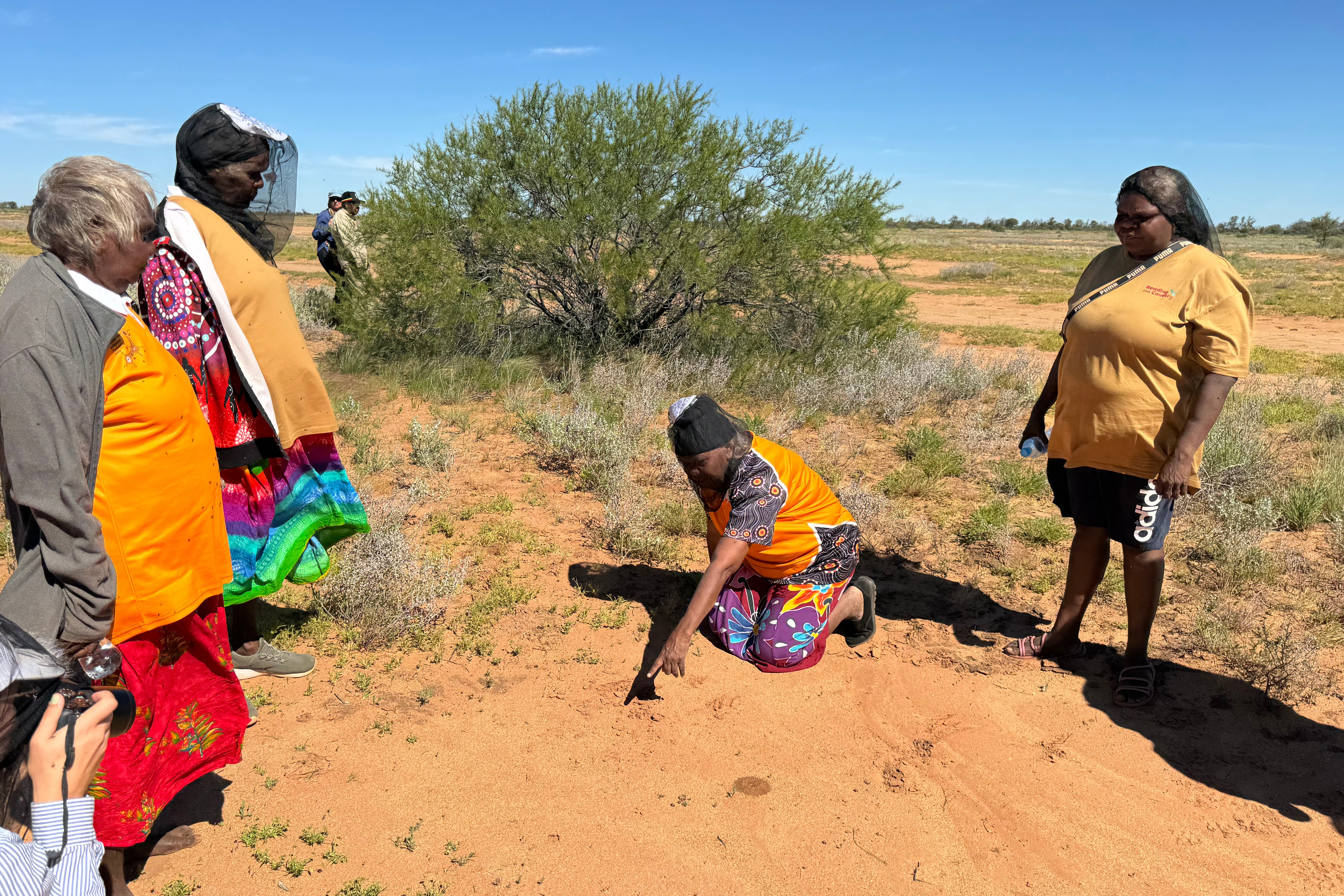 Rangers use new tech for tracking animals in the de... | National ...