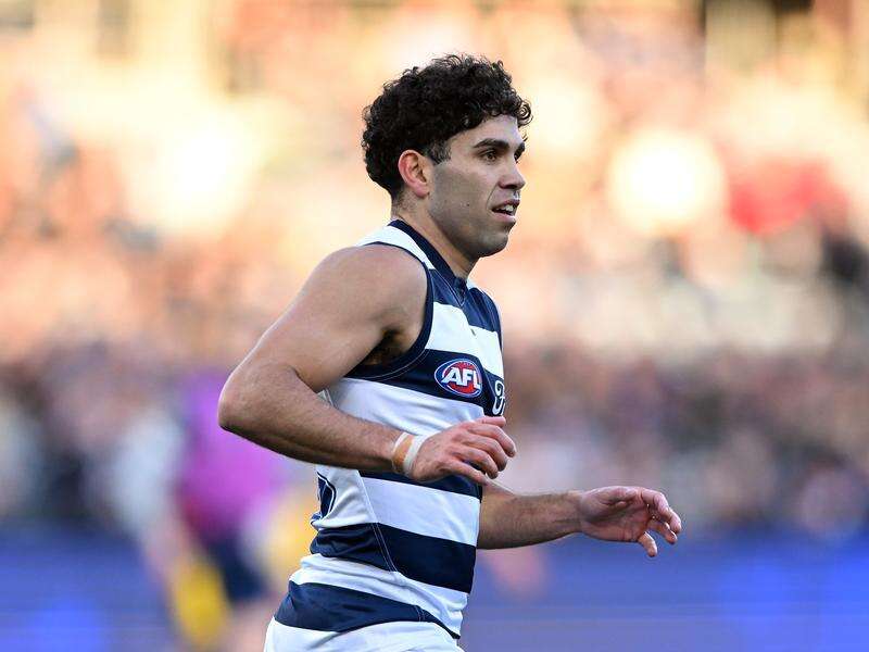 Cats coach hails Stengle after crucial win over Cro... | National ...