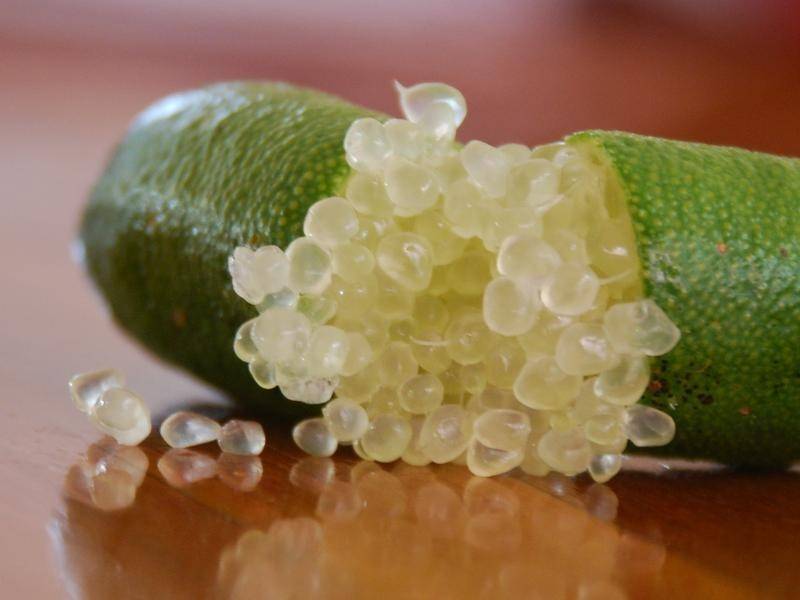 Bush food in favour as trade savours Indigenous fla... | National ...