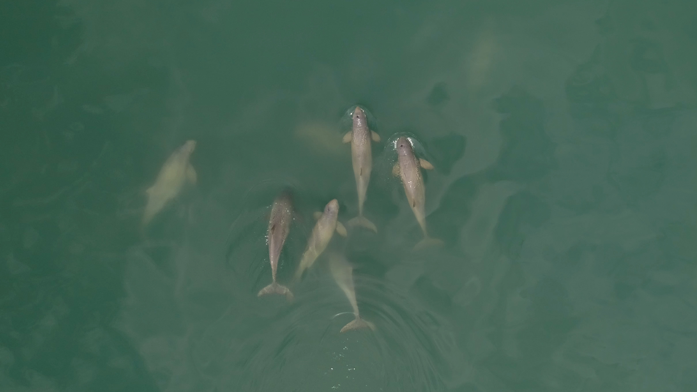 Great Barrier Reef Traditional Owners play vital ro... | National ...